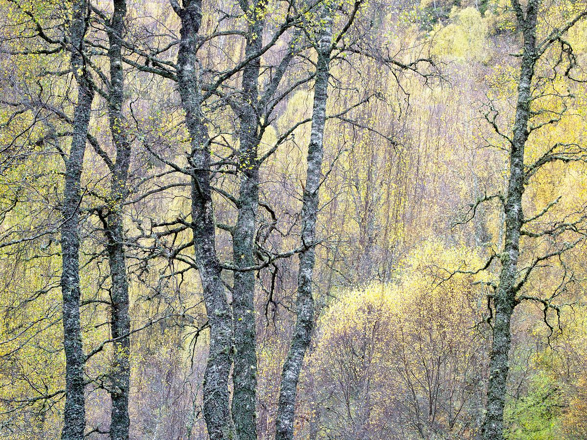 Robin Boothby Photography