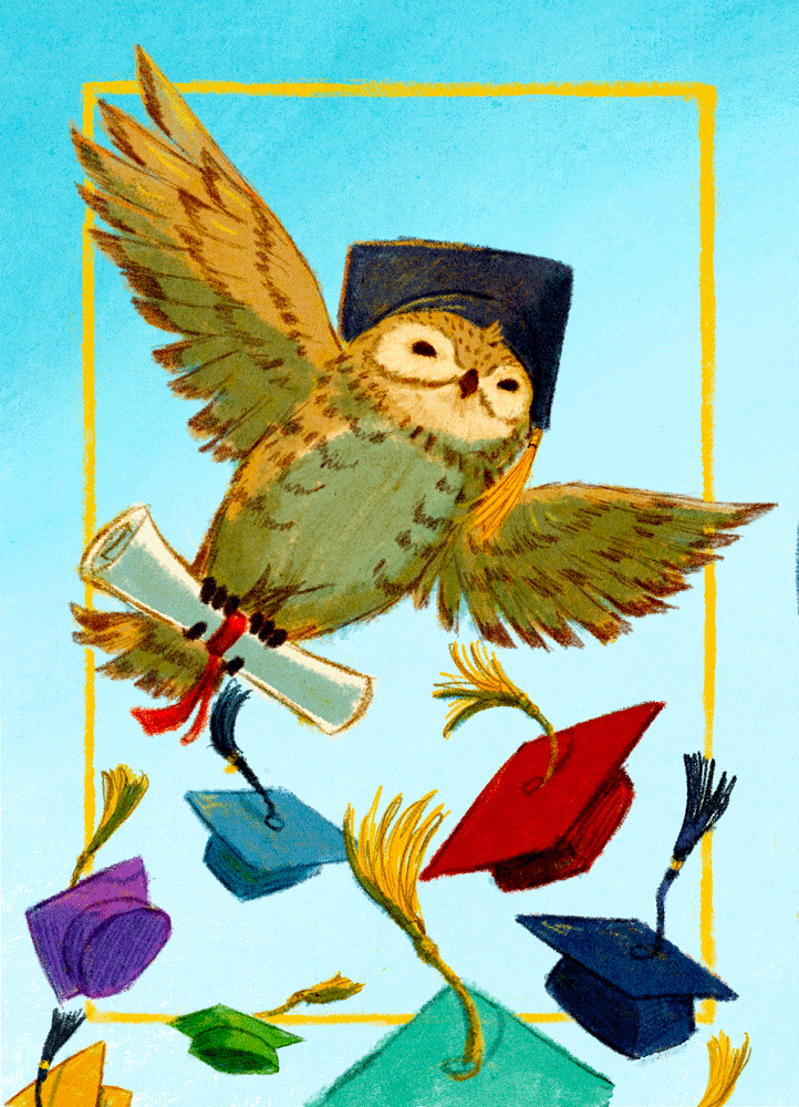 M.Kawashima | Illustration & Design