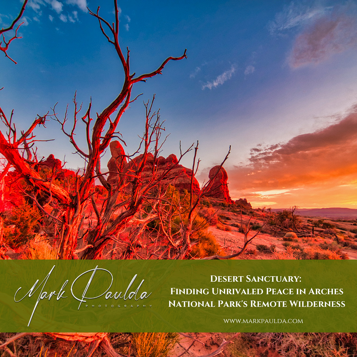 Desert Sanctuary: Finding Unrivaled Peace in Arches National Park's ...