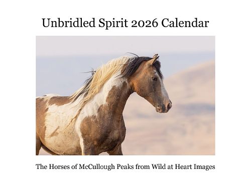 2023 McCullough Peaks Wild Horse and Washakie Calendars for Sale