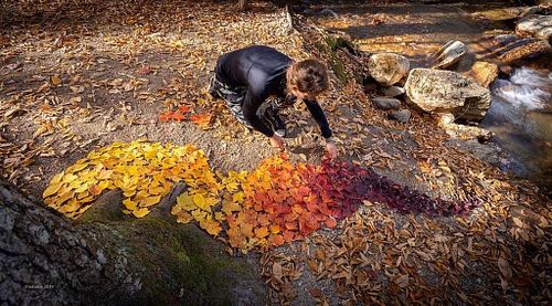 Cat Beaudoin Art | Cat Beaudoin Art