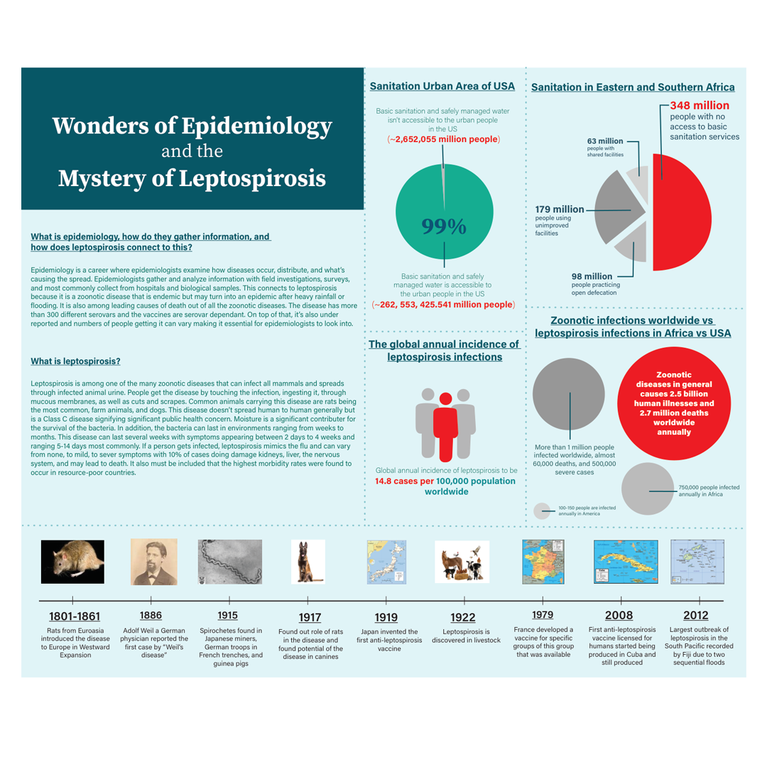 Leptospirosis Infographic Poster | HTM3