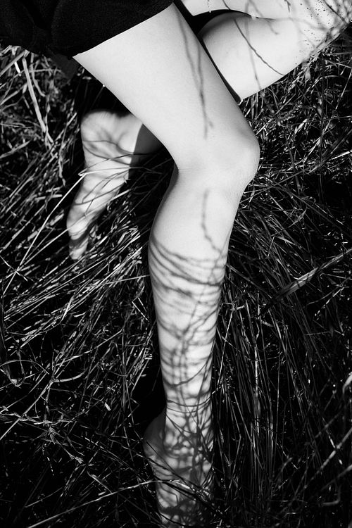 The photography of André van Rensburg