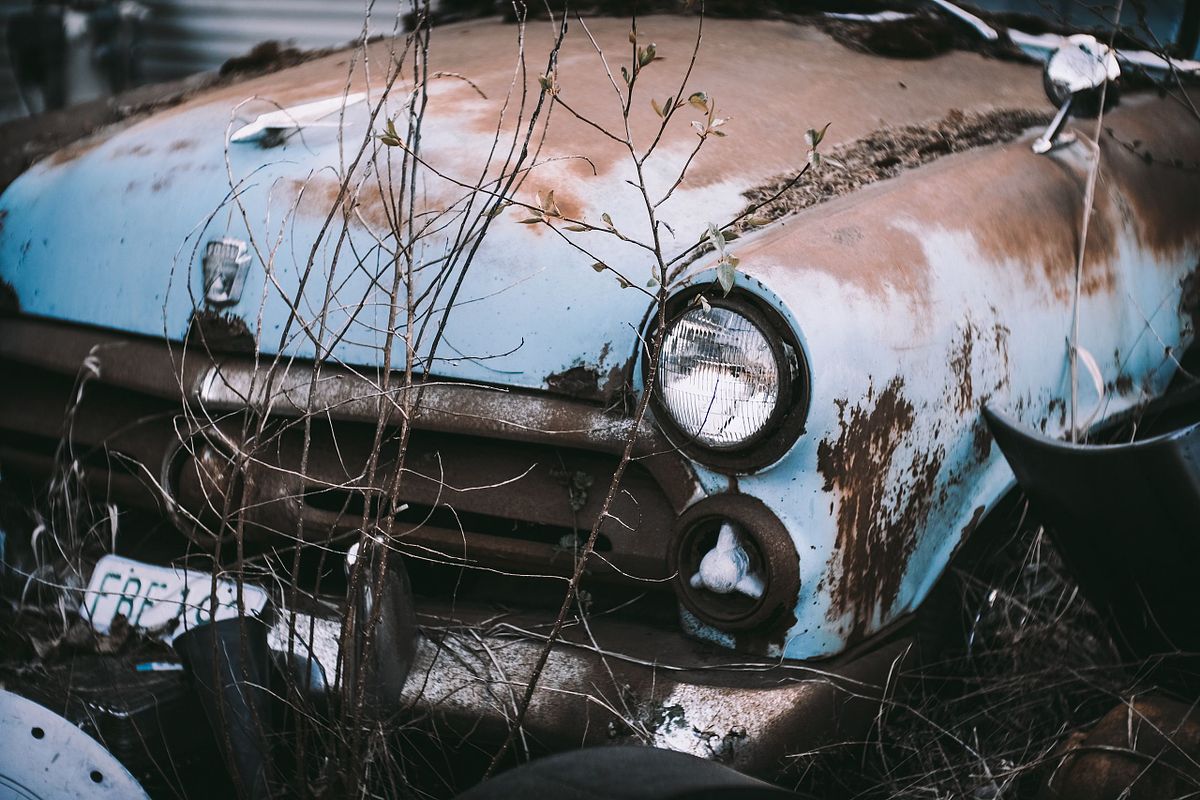 Vintage lenses capture moments from the past with a unique charm that ...